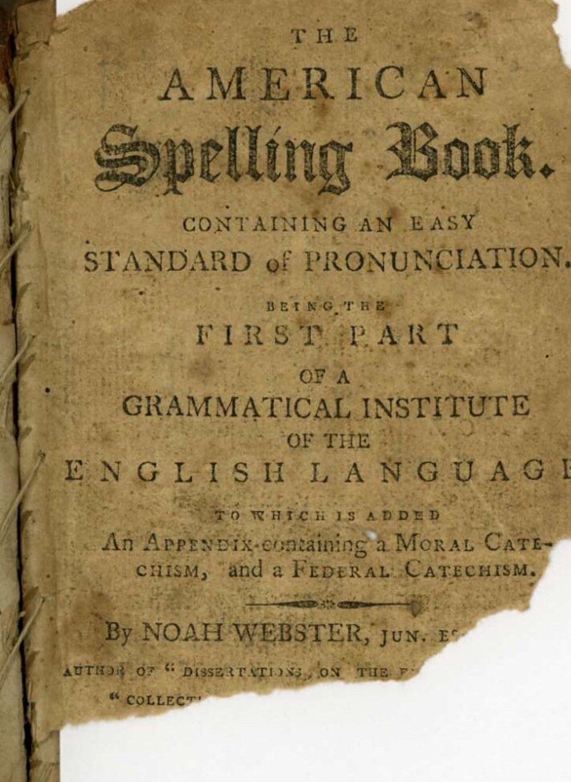 Blue-Backed Speller – mimisawhney.com